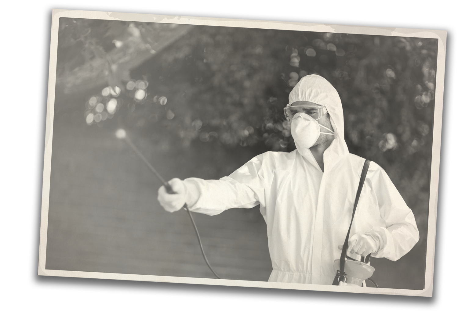 Killroy is Your Local Pest Control Company | Killroy.com