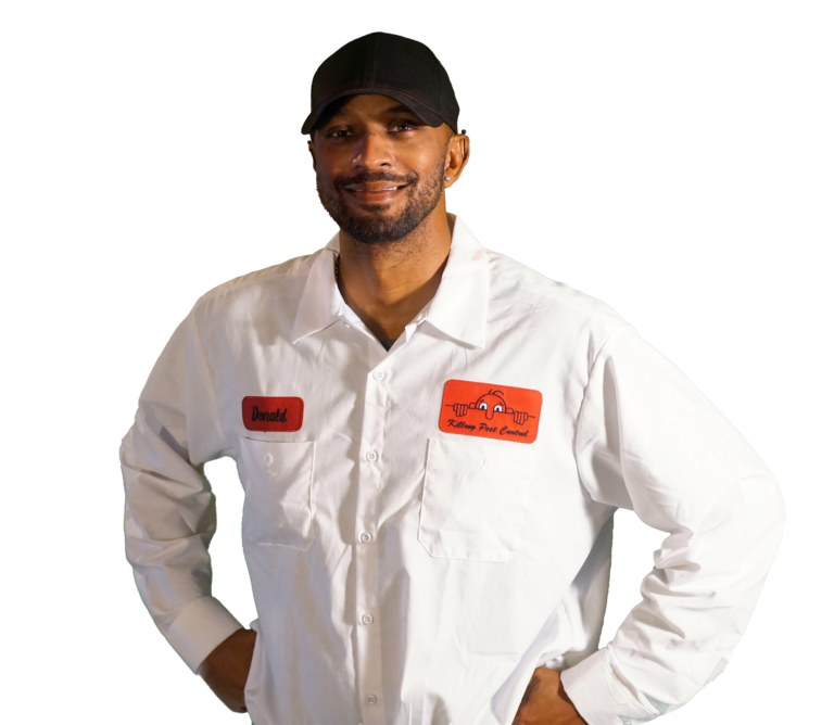 Residential Pest Control Services from Killroy