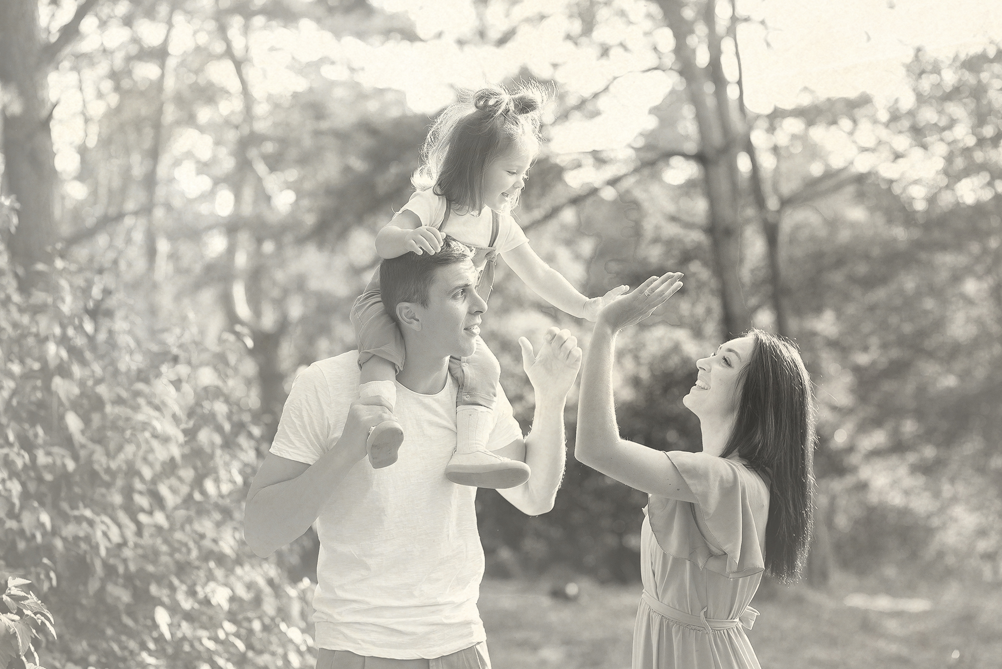 Residential Pest Control Services from Killroy